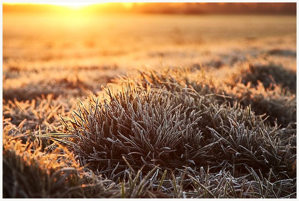 Ein Hauch von Winter Foto & Bild | landschaft, jahreszeiten, winter ...