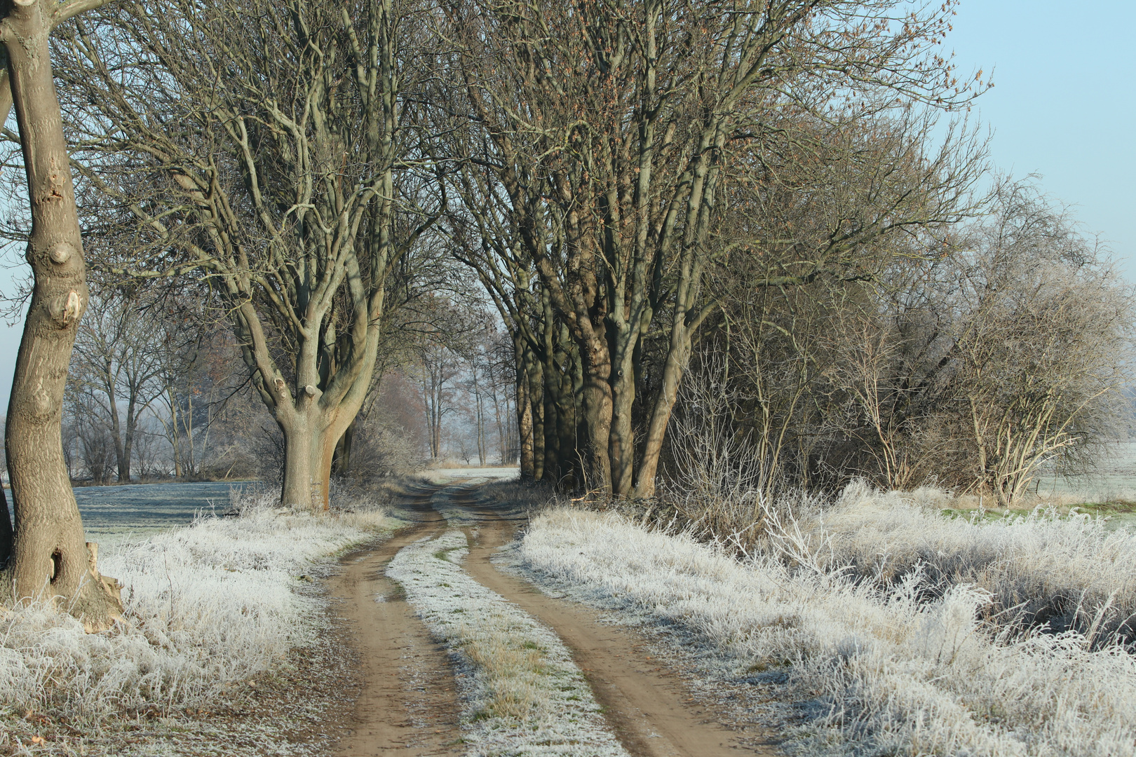 Ein Hauch von Winter Foto & Bild | jahreszeiten, winter, natur Bilder ...