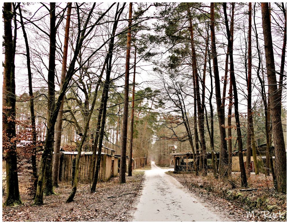 Ein Hauch von Winter hat sich hier gezeigt ! Foto & Bild | natur-kreativ, bäume, winter Bilder ...