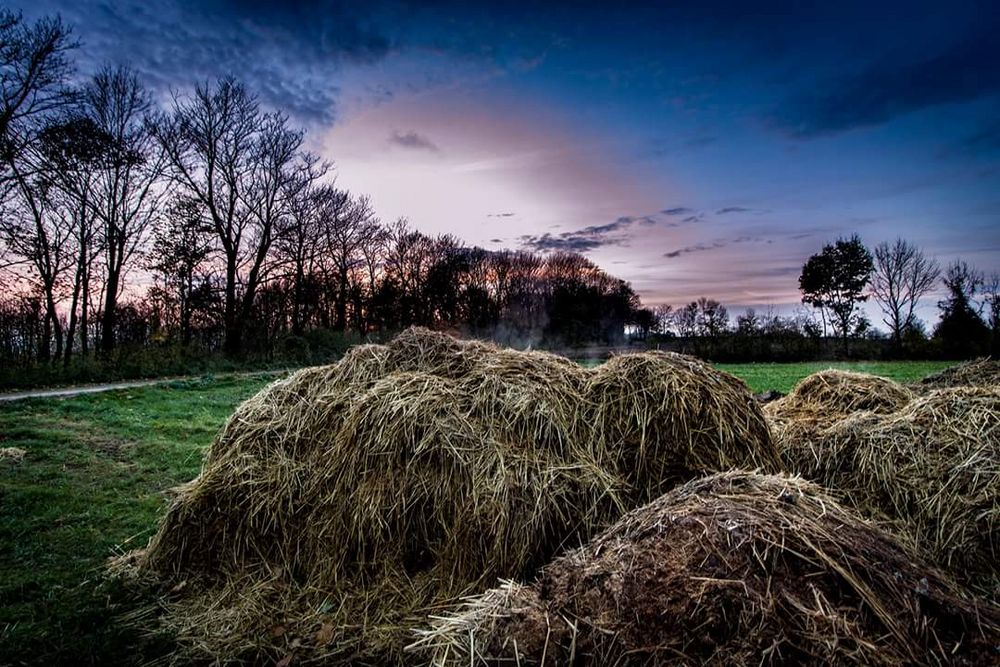 Ein Haufen Sch***e Foto & Bild | abendstimmung, abend, natur Bilder auf ...