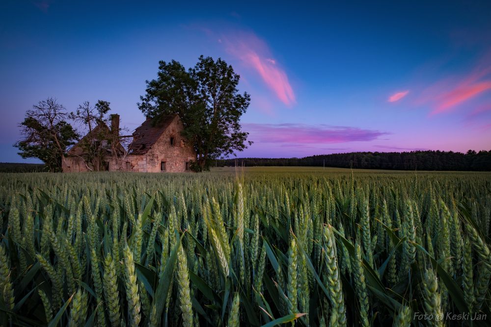 Ein Haus im Kornfeld Foto & Bild | fun, natur, landschaft Bilder auf fotocommunity