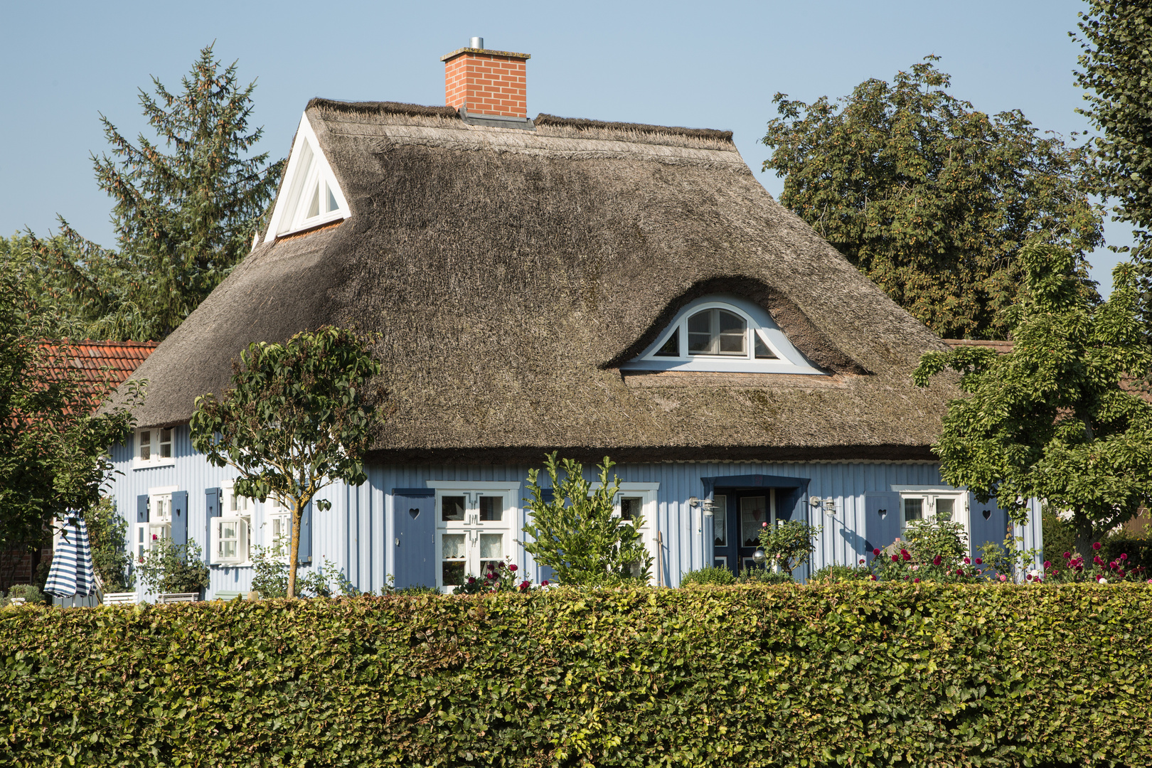 Ein Haus zum Träumen........ Foto & Bild | mecklenburg (darss), world ...