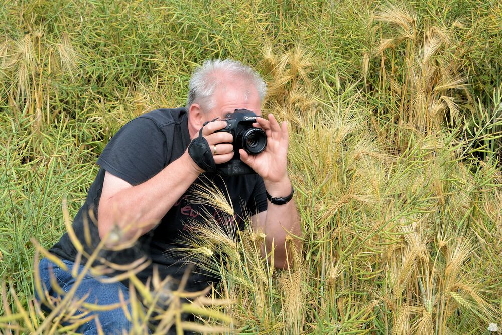 Ein Held ist 6.0 Foto & Bild | outdoor, natur, getreide Bilder auf ...