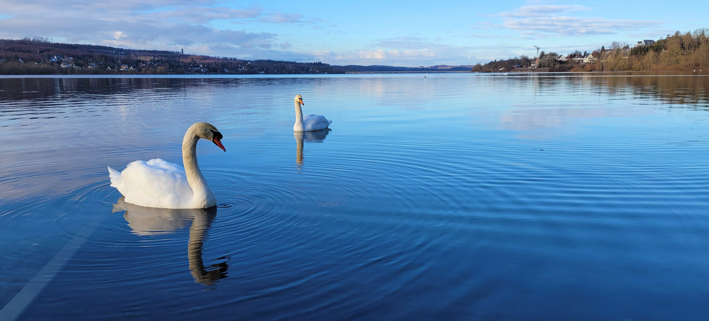 Ein hellblauer Wintermorgen Foto & Bild | februar, winter, panorama ...