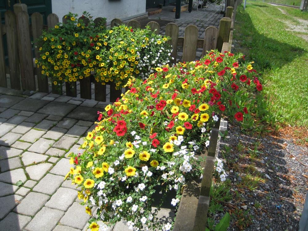 ein herrlicher Anblick Foto & Bild | pflanzen, samen, natur, pflanzen Bilder auf fotocommunity