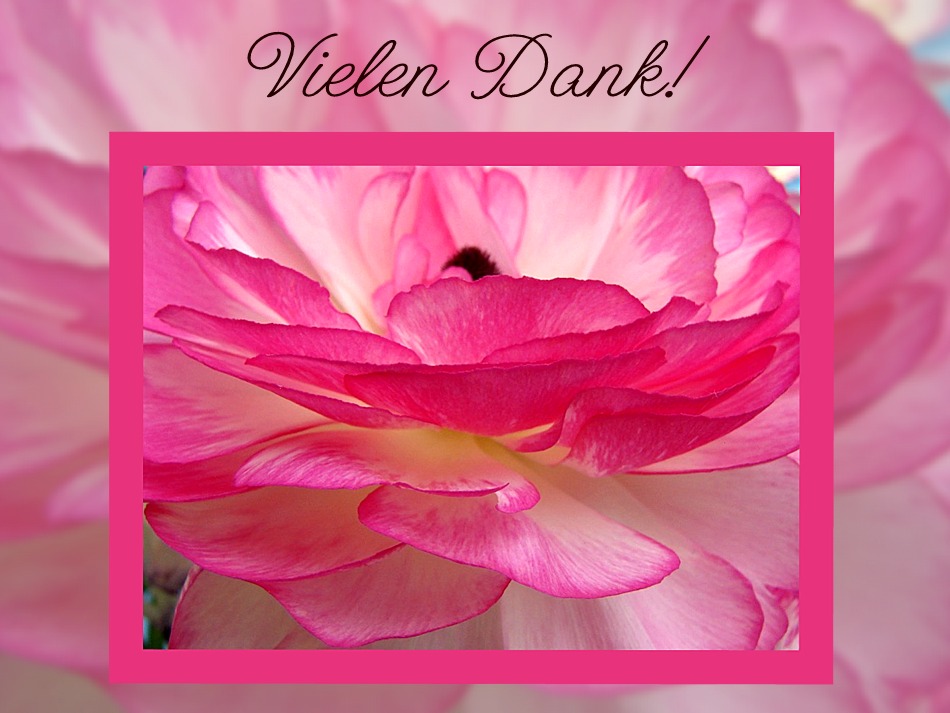 Ein herzliches Danke... Foto & Bild | karten und kalender, dankeschön ...