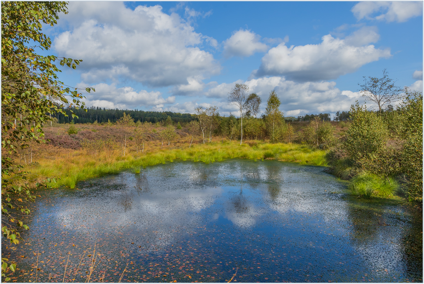 Ein Hoch dem Hochmoor... Foto & Bild | landschaft, spiegelung ...