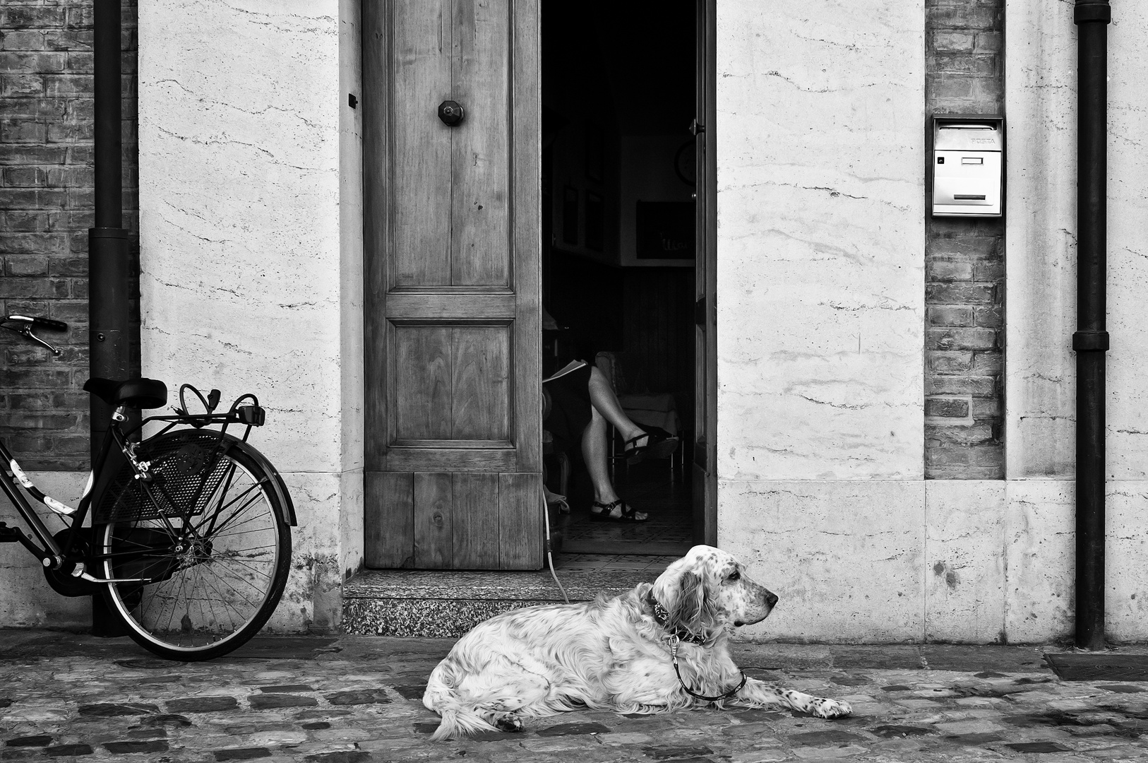 Ein Hund und zwei Beine Foto & Bild | streetfotografie mit menschen, streetphotography, fotos ...