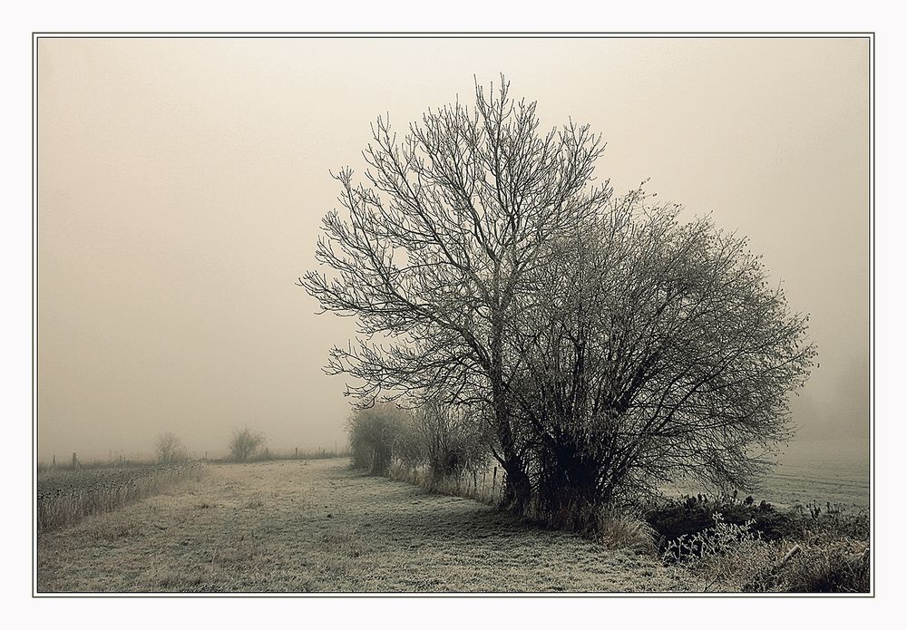Ein kalter... Foto & Bild | landschaft, jahreszeiten, winter Bilder auf ...