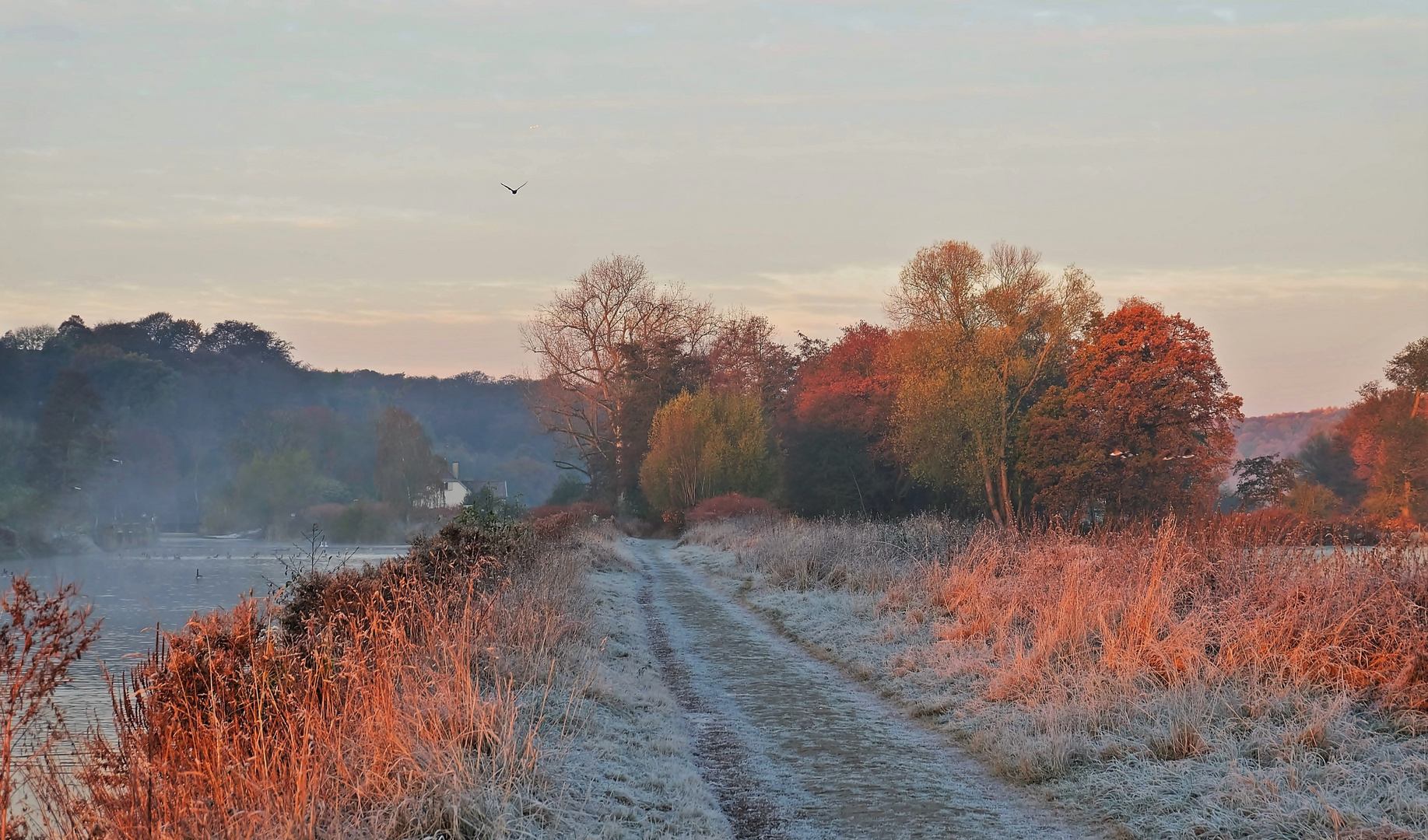 Ein kalter Morgen im November Foto & Bild | herbst, natur, landschaft Bilder auf fotocommunity