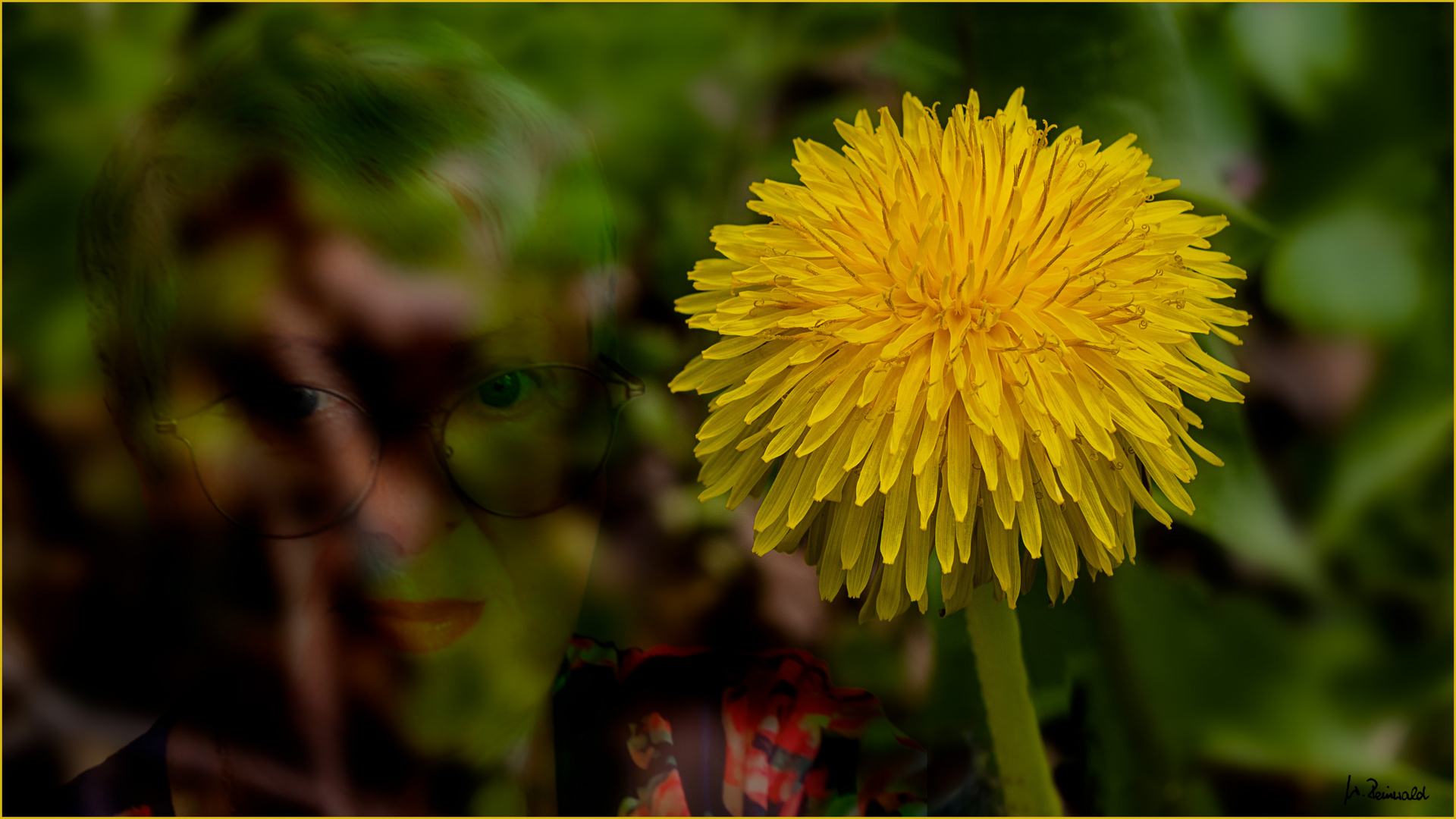 Ein kleiner Gruß zwischendurch Foto & Bild | spezial, natur ...