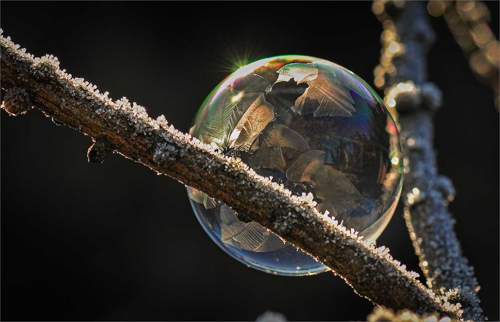 Ein kleines Wunder . . . Foto & Bild | abstraktes, natur-makros ...