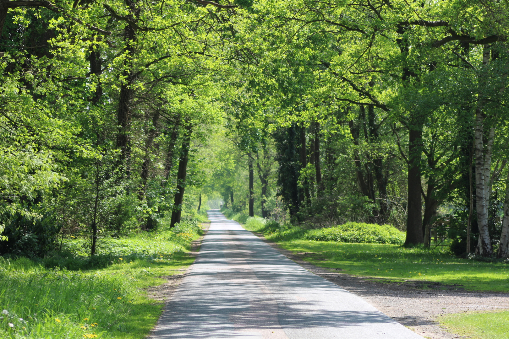 ein langer Weg Foto & Bild | natur Bilder auf fotocommunity