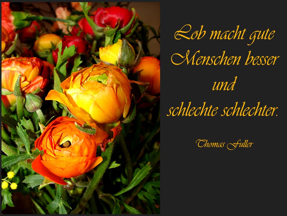 Ein Lob Foto & Bild | karten und kalender, karten 2010, spezial Bilder ...