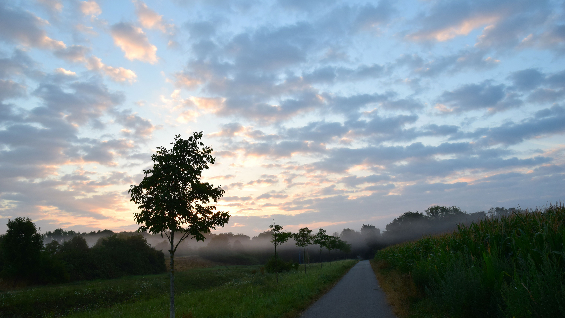Ein Morgen im August (1) Foto & Bild | himmel & universum, blaue stunde ...