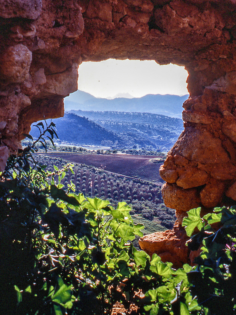 EIN NEUGIERIGER BLICK DURCH DIE LÜCKE.... Foto & Bild | europe ...