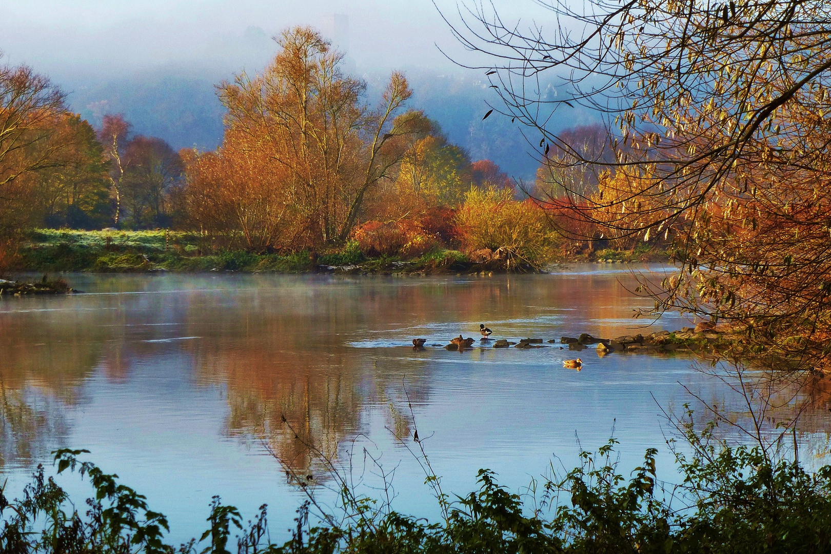 Ein Novembermorgen Foto & Bild | jahreszeiten, herbst, natur Bilder auf ...