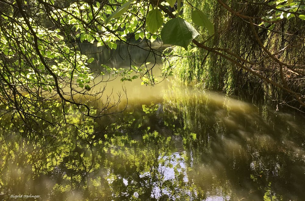 Ein Paradies ganz in der Nähe Foto & Bild | natur, europa, landschaft ...