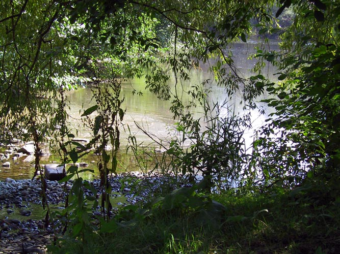 Ein Platz zum Träumen - Bild & Foto von Robert Kinzer aus 10/ 01: Traum ...