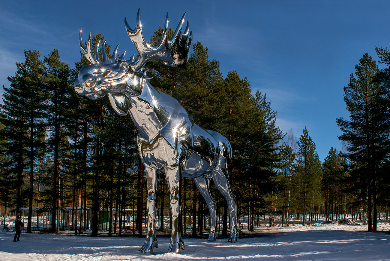 ein riesiger elch Foto & Bild | norwegen, world, north Bilder auf ...