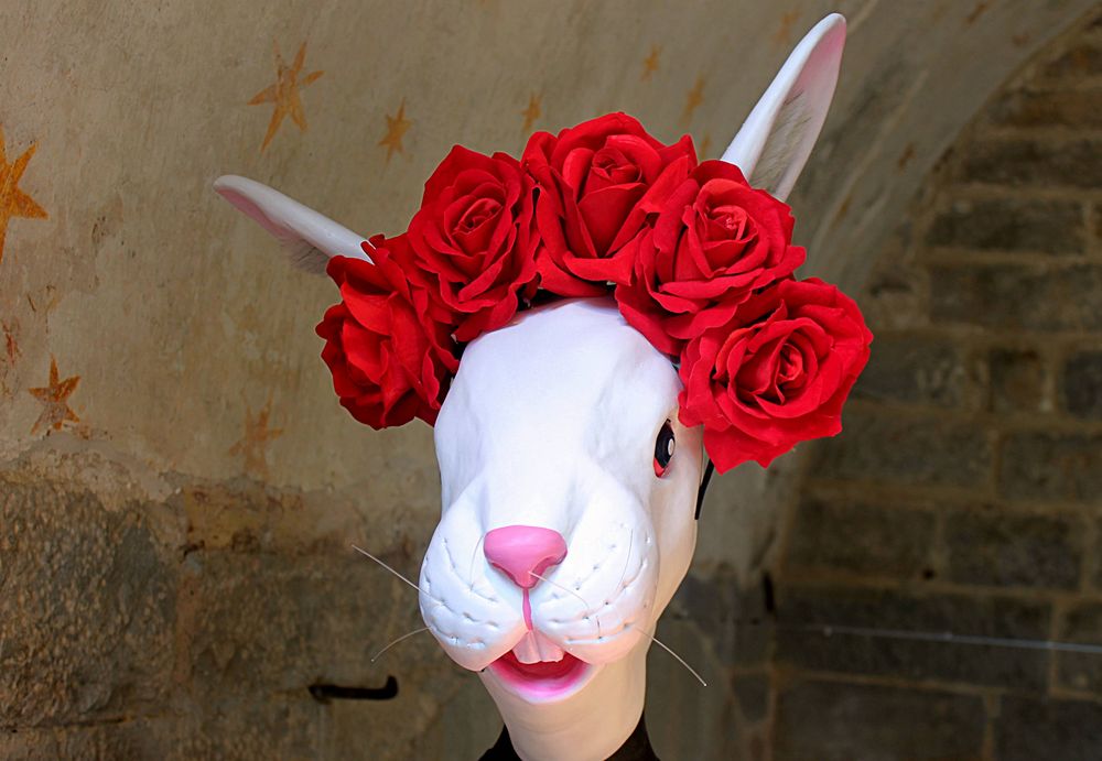 Ein rosiges Häschen ... Foto & Bild | quatsch, fun und rätselecke ...