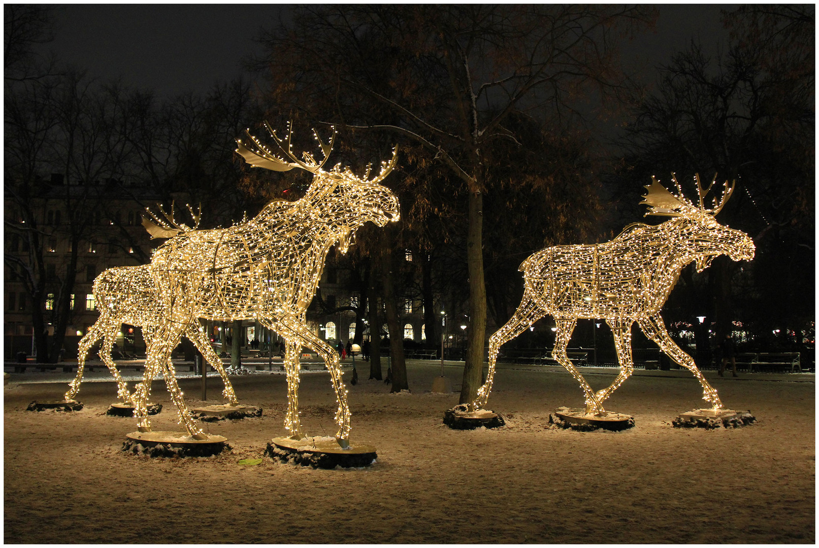 Ein Rudel Eche... Foto & Bild | urlaub, weihnachten, fotos Bilder auf ...