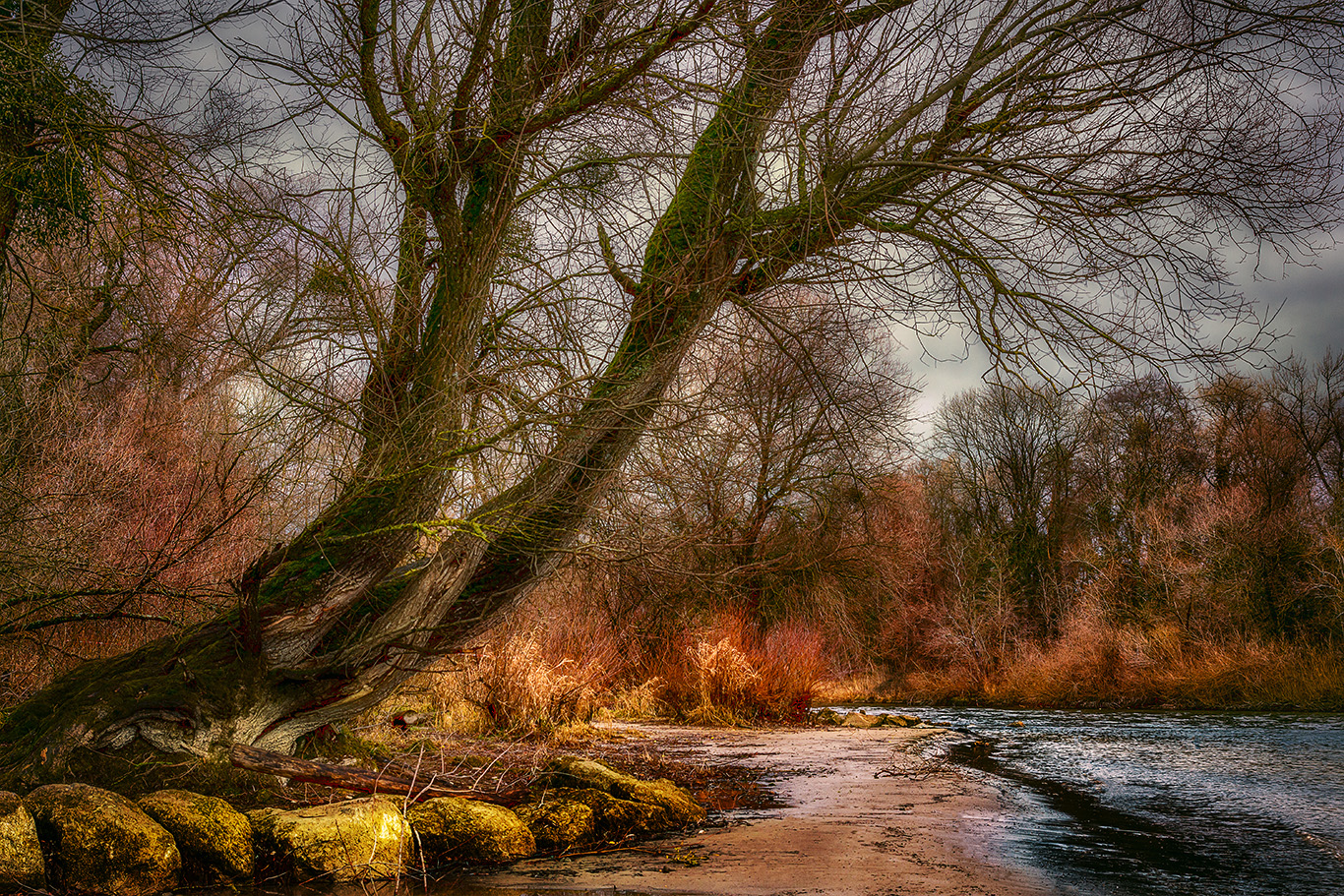 Ein schönes Plätzchen am See Foto & Bild | landschaft, bach, fluss ...