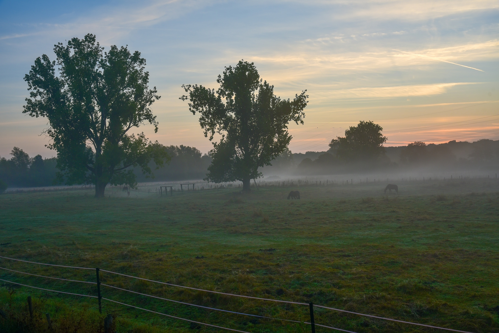 Ein Septembermorgen... Foto & Bild | natur, herbst, morgenlicht Bilder ...