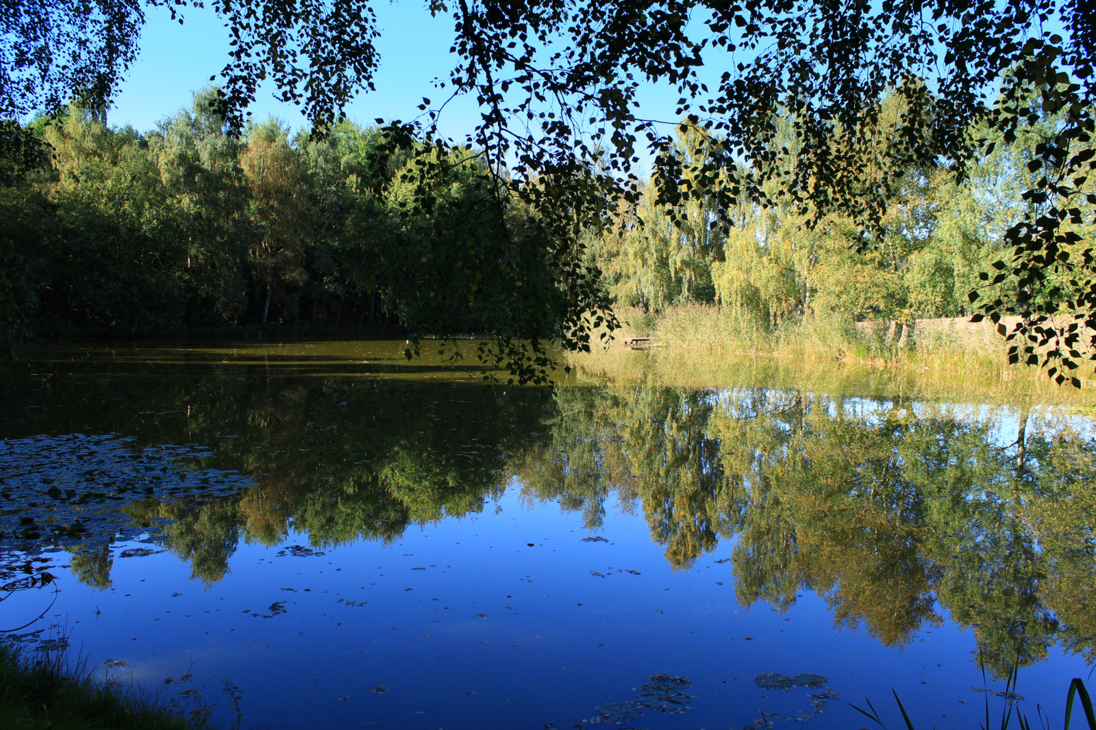 - Ein Sonnentag im Solling- Foto & Bild | landschaft, lebensräume ...