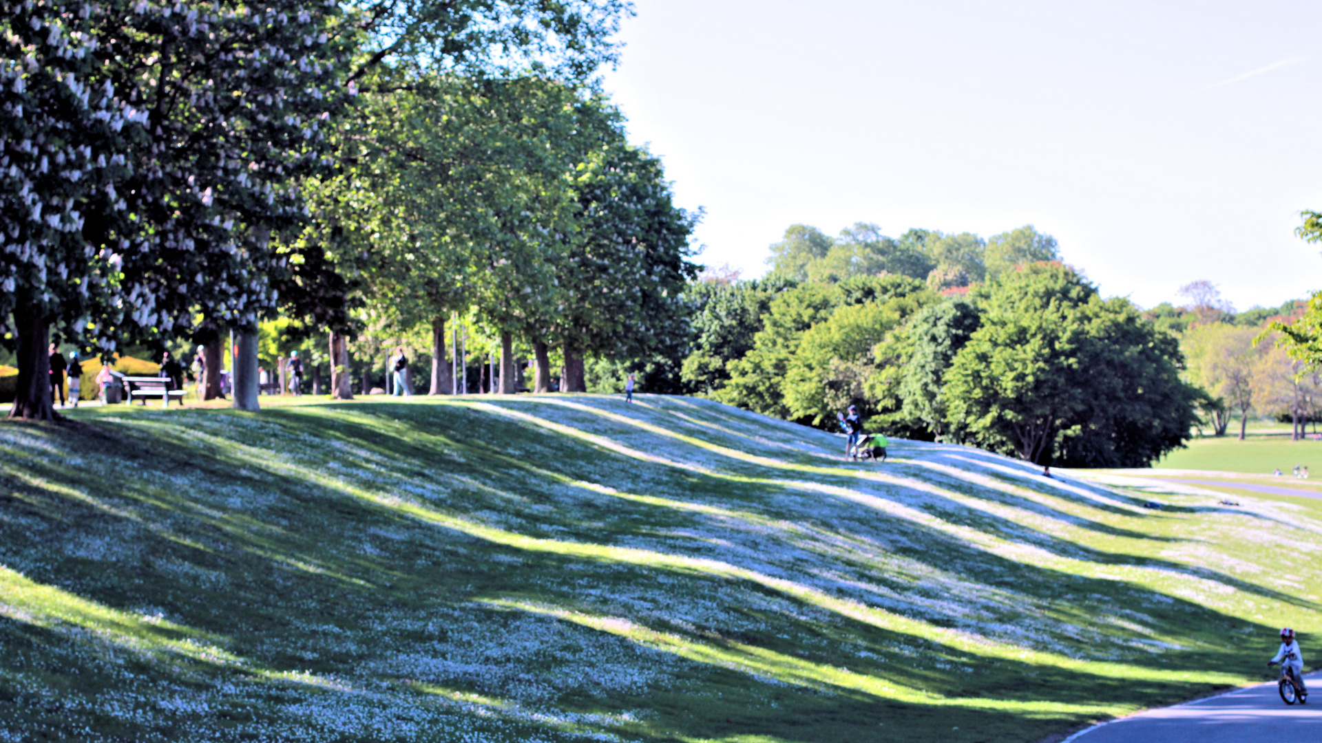 ein Spaziergang durch die Bonner Rheinaue (13) Foto & Bild | landschaft ...