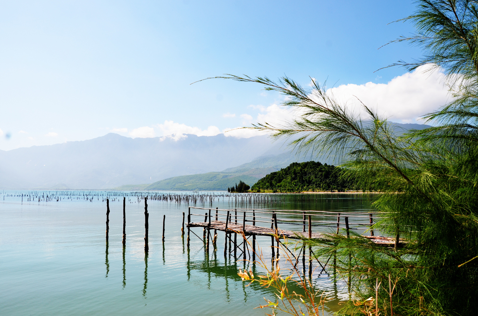 Ein Steg ins Meer Foto & Bild | landschaft, meer & strand, strandmakros ...
