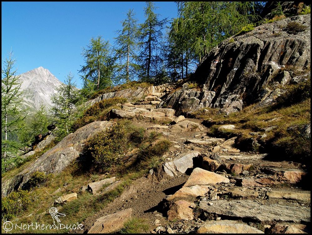 ein steinerner und steiniger Weg... Foto & Bild | landschaft, berge ...