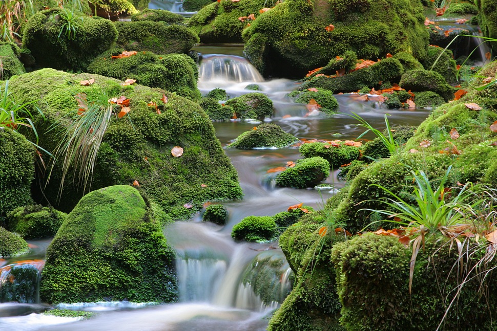 ein steiniger Weg Foto & Bild | landschaft, bach, fluss & see, natur ...