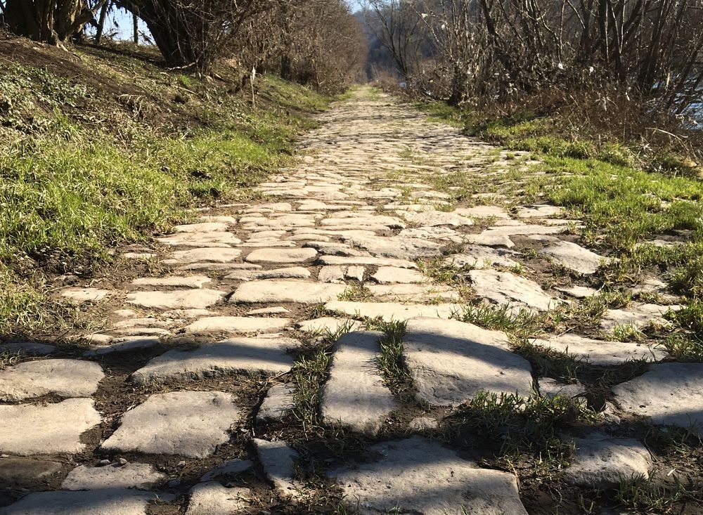ein steiniger Weg Foto & Bild | landschaft, wege und pfade, weg Bilder ...
