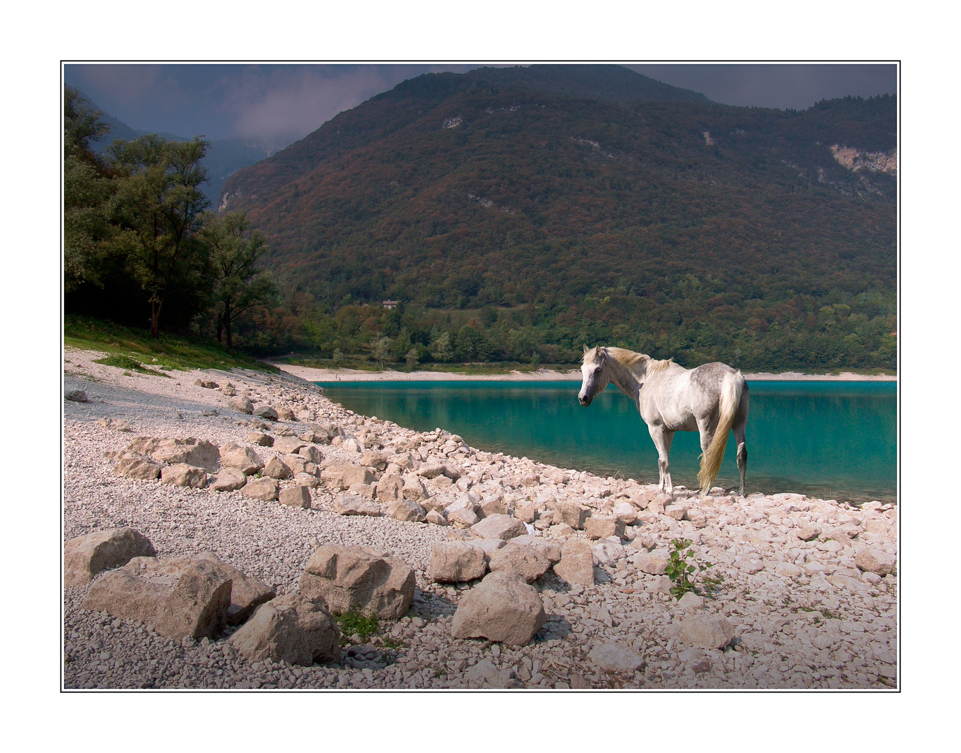 Ein steiniger Weg Foto & Bild | italy, world, wald Bilder auf fotocommunity