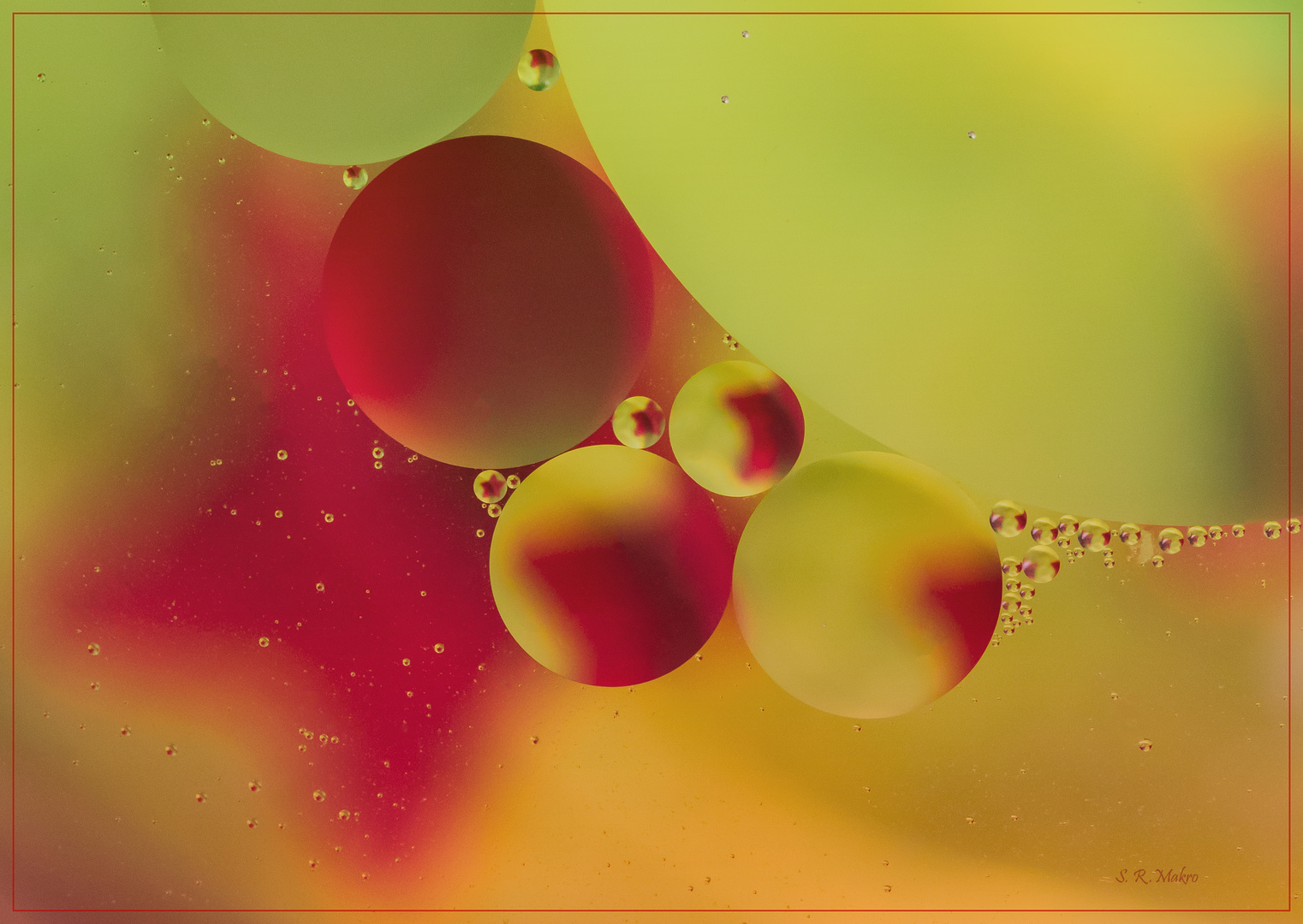 Ein Stern Foto & Bild | fotos, canon, spezial Bilder auf fotocommunity