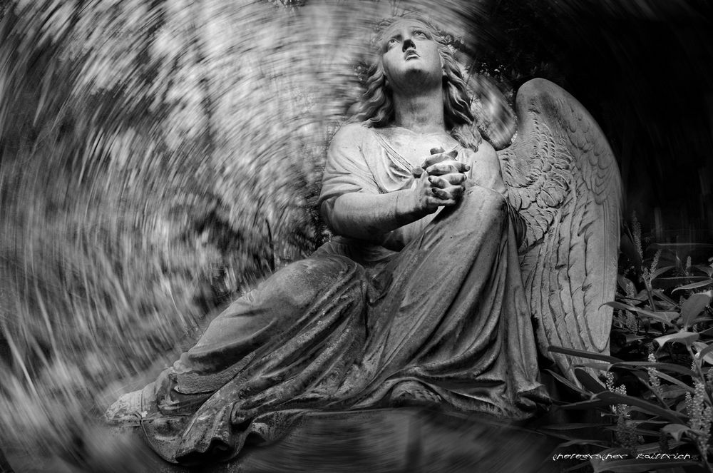 Ein stilles Gedenken... Foto & Bild | emotionen, trauer, trauer - ein ...