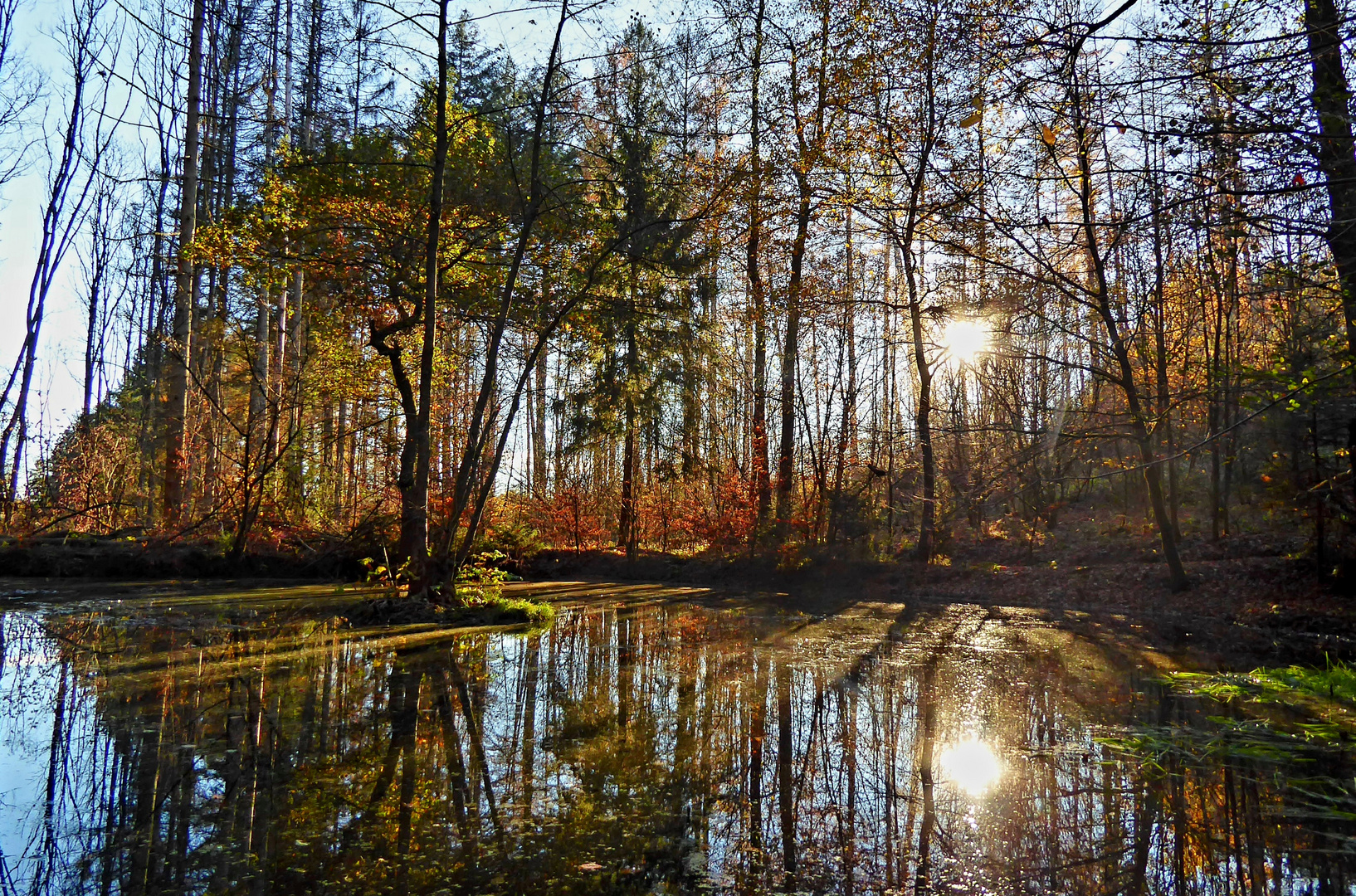 Ein stilles Örtchen... Foto & Bild | landschaft, jahreszeiten, herbst ...