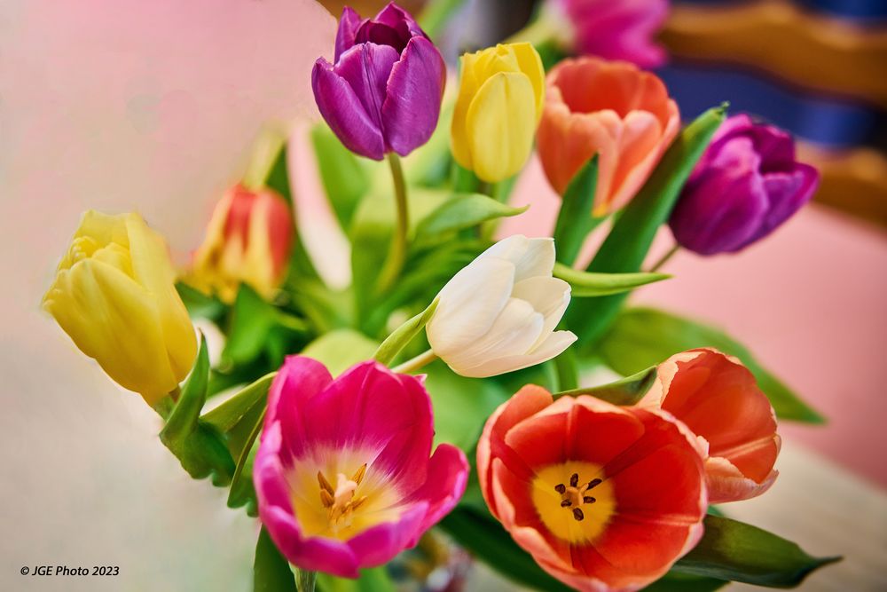Ein Strauß Tulpen für den Frühling Foto & Bild | pflanzen, pilze & flechten, blüten ...