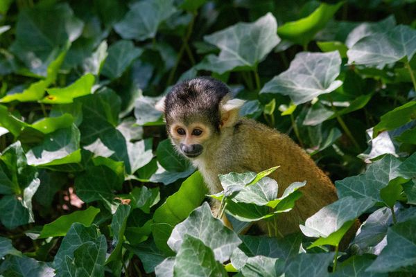 Anfängerecke - nachgefragt Bilder & Fotos