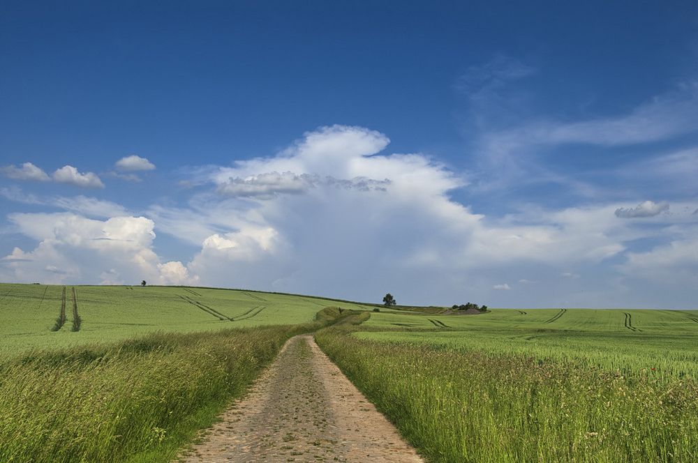 °Ein Tag im Juni° Foto & Bild | natur, landschaft Bilder auf fotocommunity