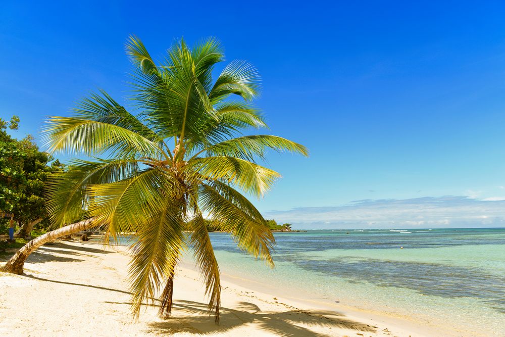 Ein Tag im Paradies Foto & Bild | world, natur, landschaft Bilder auf ...