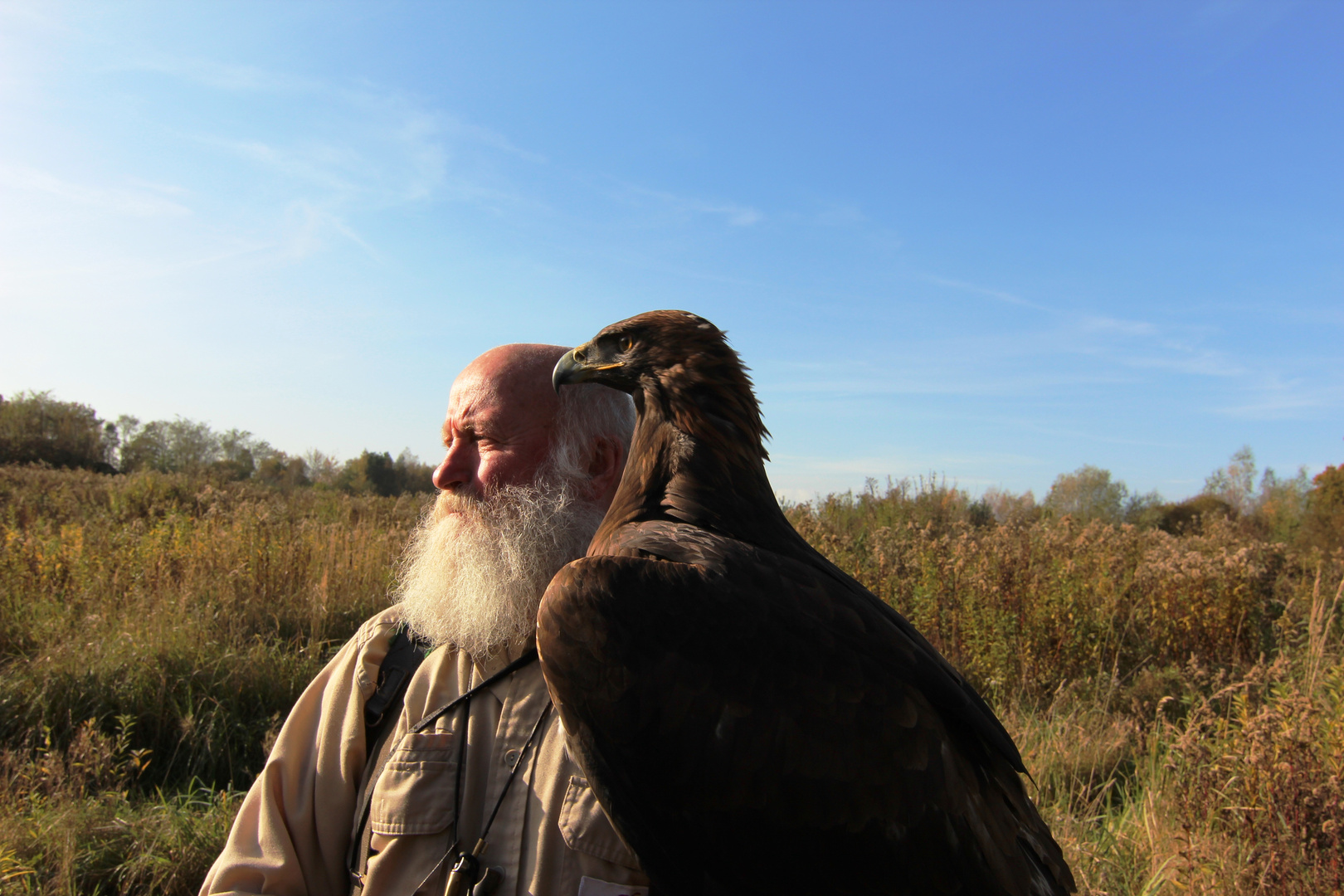 Ein Team Foto & Bild | natur-kreativ, tiere, natur Bilder auf fotocommunity