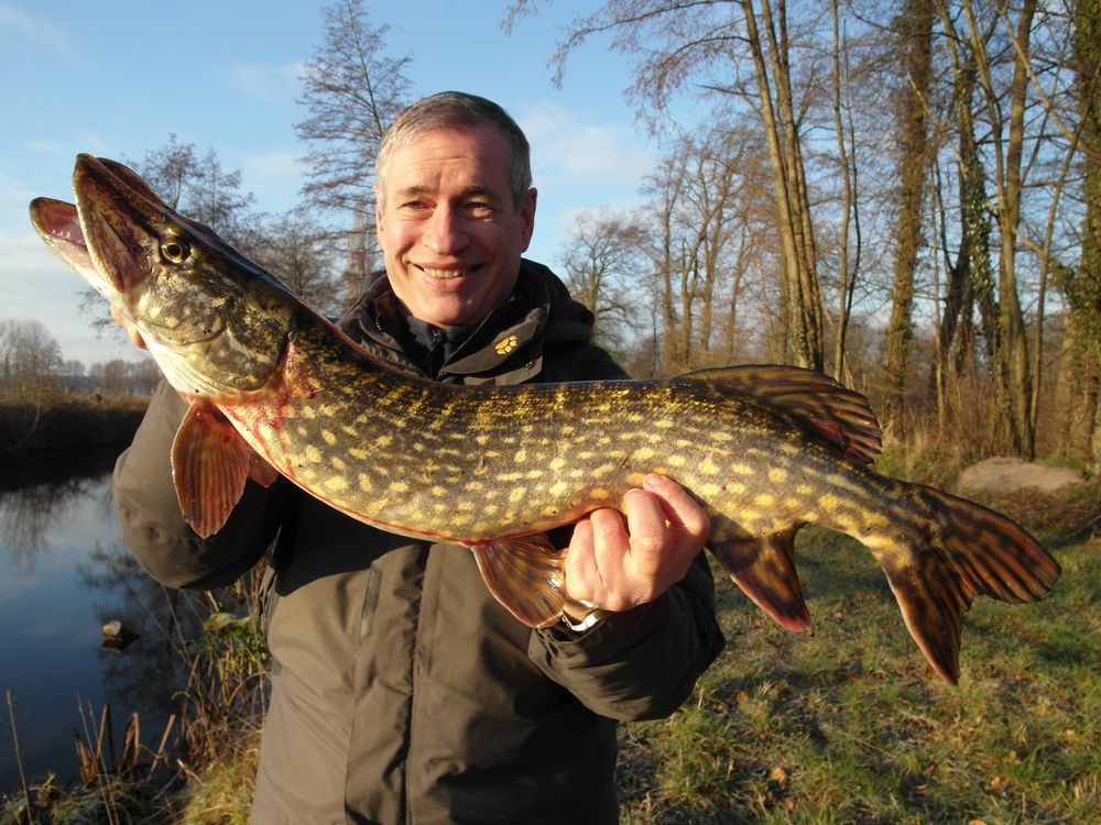 Ein toller Hecht Foto & Bild | tiere, wildlife, fische Bilder auf ...