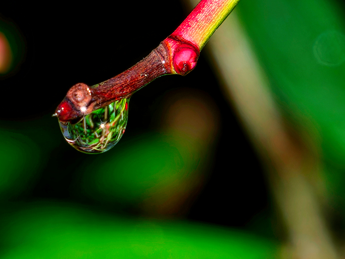 Ein Tropfen.... Foto & Bild | techniken, regenfotos, wetter Bilder auf ...
