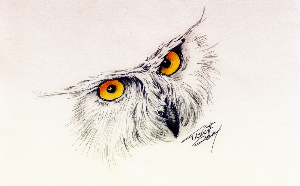 Ein Uhu zum üben... Foto & Bild | kunstfotografie & kultur, gemälde ...