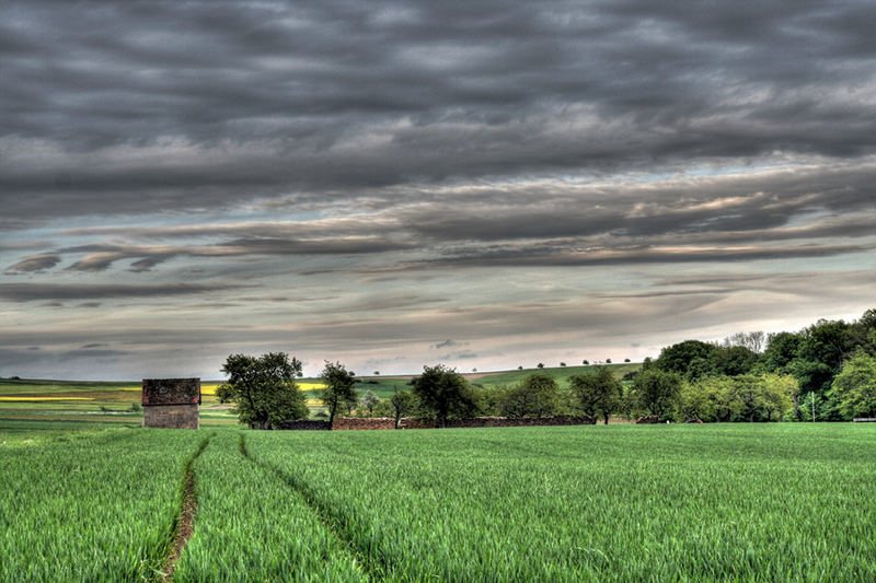 ein weites Feld - 2. Teil Foto & Bild | landschaft, lebensräume, natur ...
