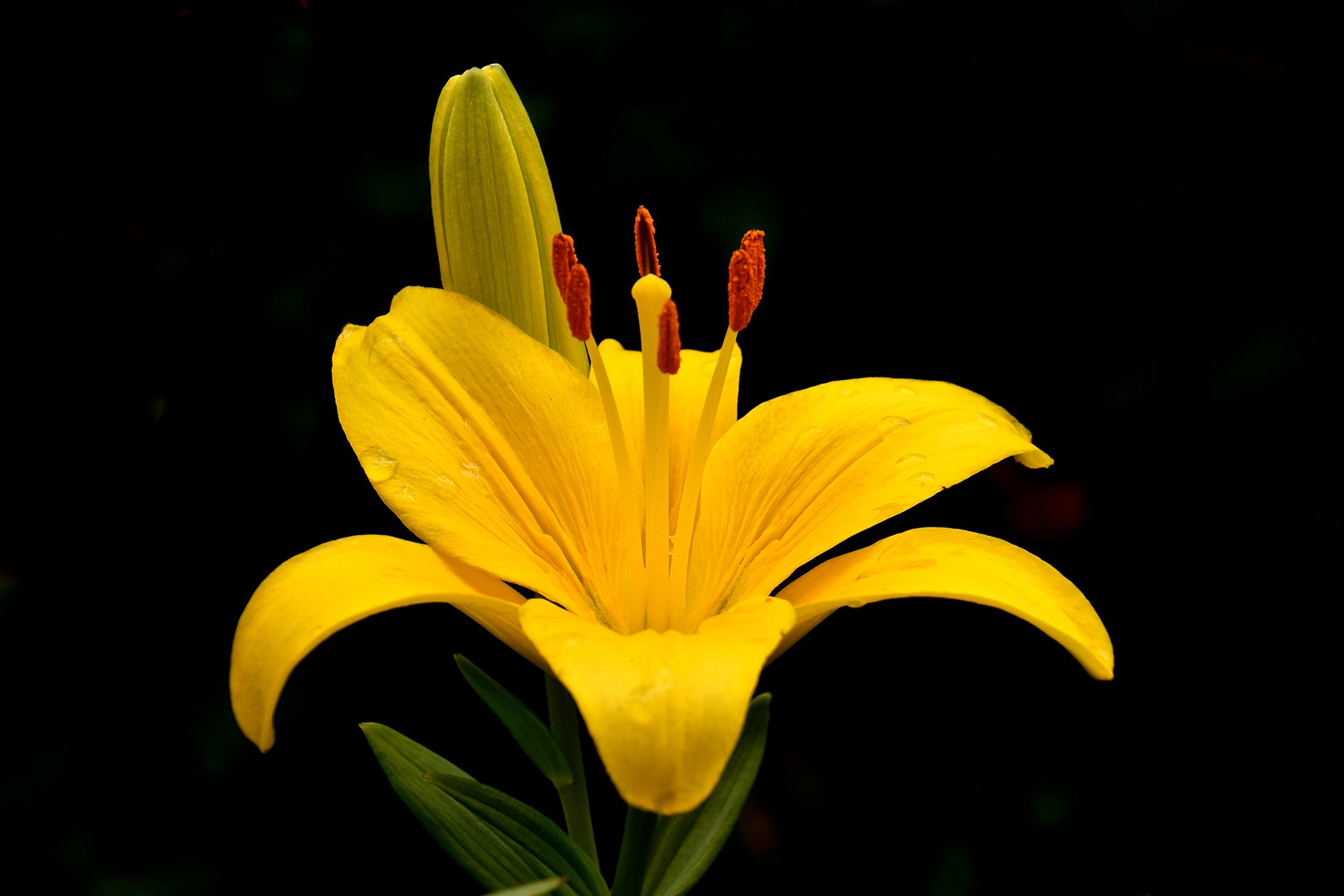 Ein wenig Farbe Foto & Bild | fotos, world, spezial Bilder auf ...