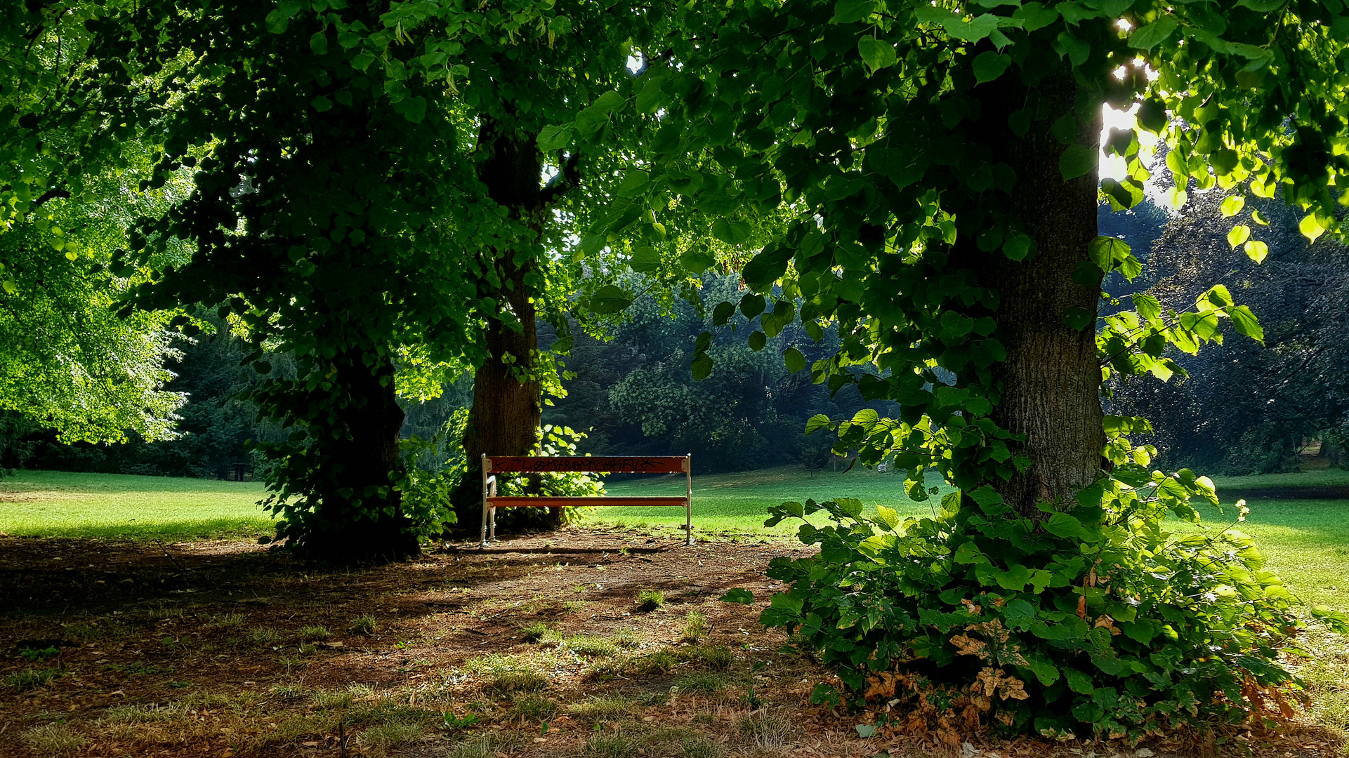 ein wenig Grün... Foto & Bild | park, bäume, natur Bilder auf fotocommunity