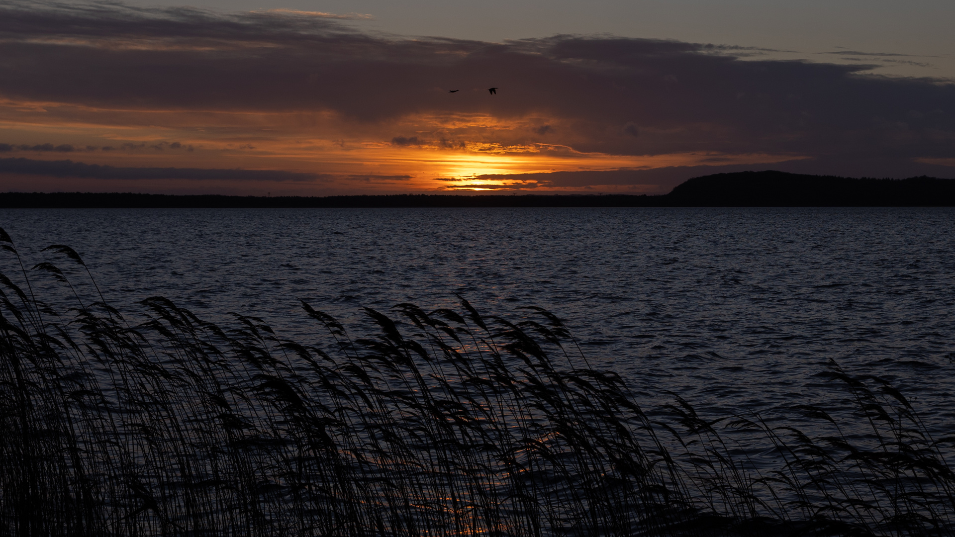 Ein wenig Sonne Foto & Bild | deutschland, europe, mecklenburg ...